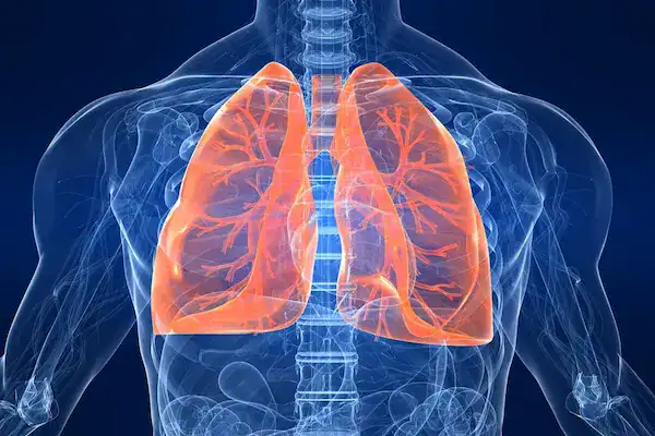 Bronchogen Peptide in Lung Tissue Research Australia